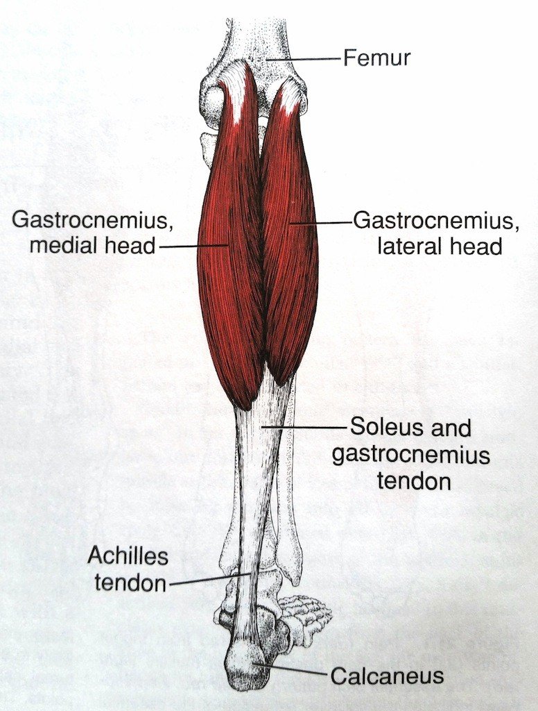 Knee Pain The Easy Fix Personal Training North Vancouver Knee Pain The Easy Fix Personal Training North Vancouver
